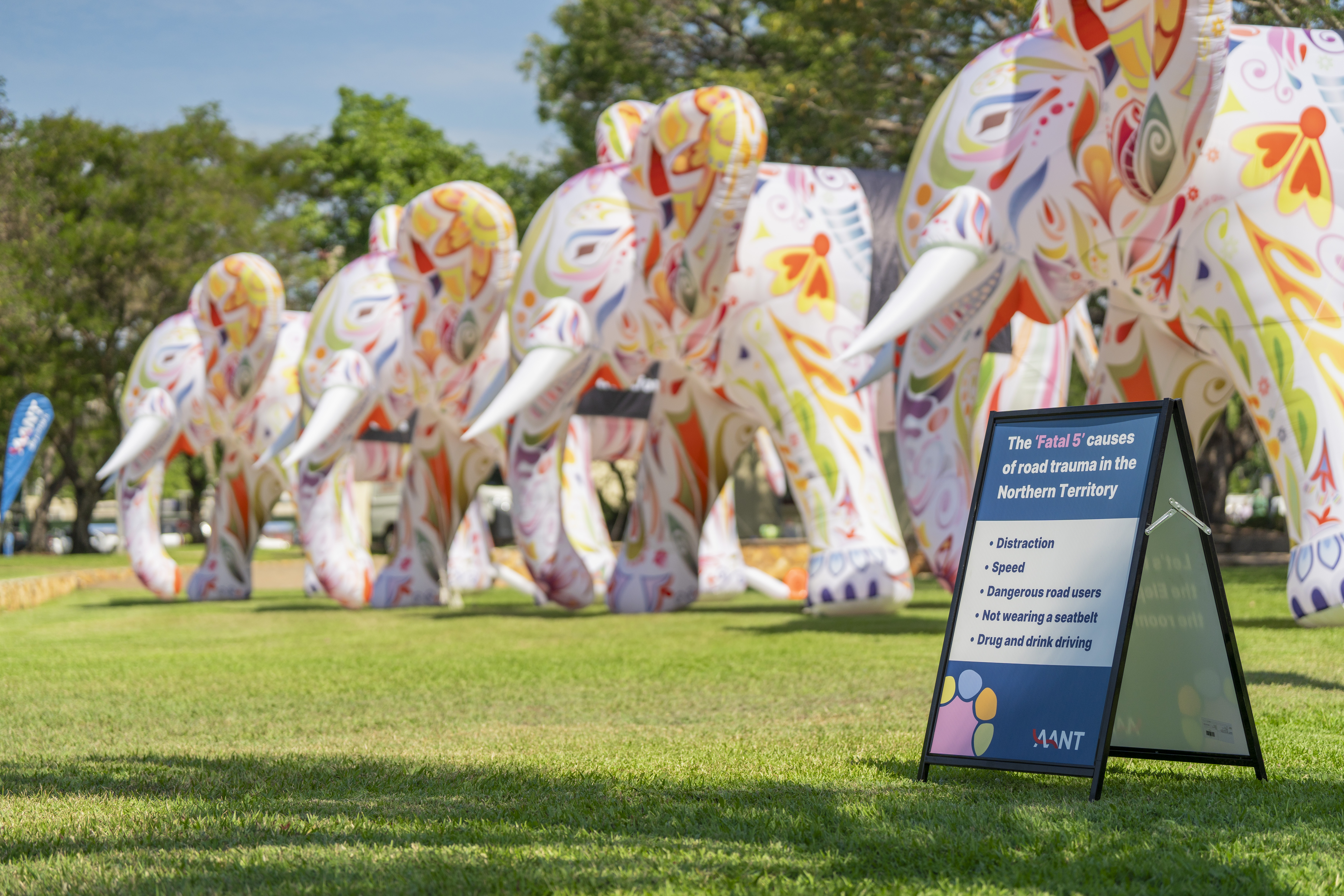 Road Safety Week 2025 | AANT